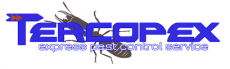 Top Pest Control Companies in Phillipines in 2025